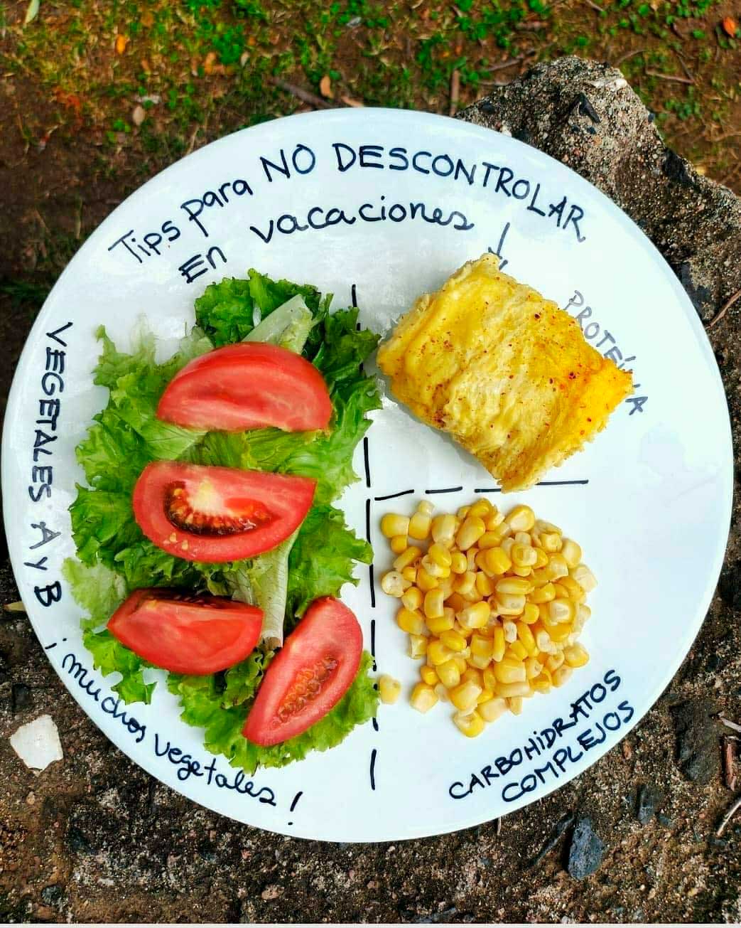 18 Platillos Saludables Fáciles de Preparar - Mi Receta Facil